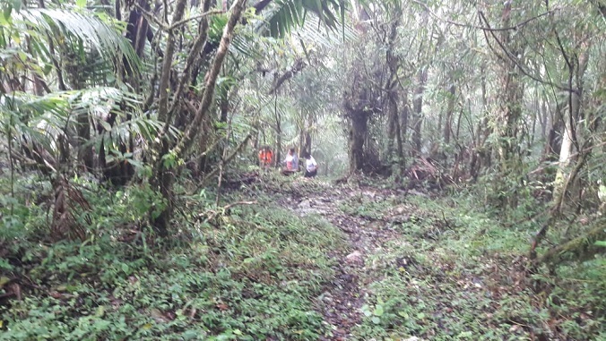 Hambre por riqueza del Pico Diego de Ocampo enfrenta a empresarios con ...