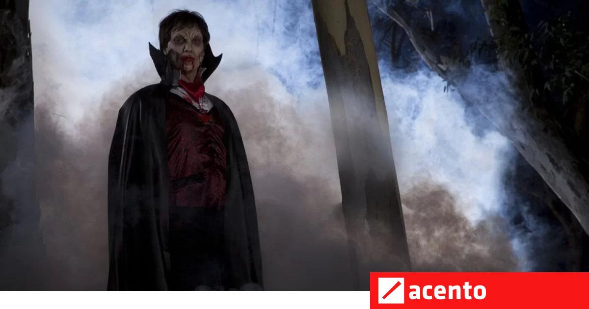 ¿Por qué se asocia al murciélago con el mito del vampiro? | Acento