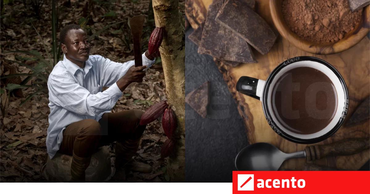 Del cacao al chocolate, industria en crecimiento en RD | Acento
