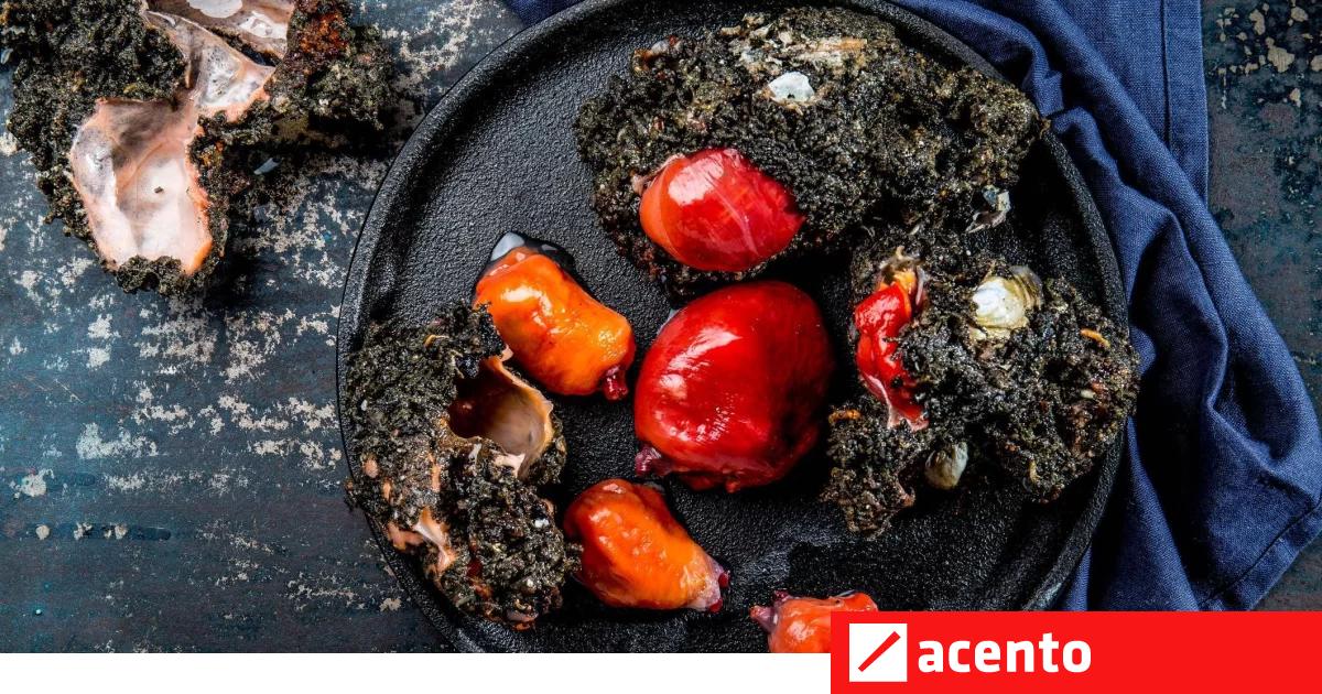 "Es como sumergirse en el mar con la boca bien abierta": qué es el ...