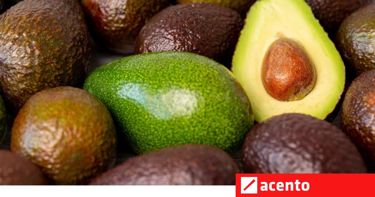 Coco y aguacate dominicanos entrarán por primera vez a EE.UU y Jamaica ...