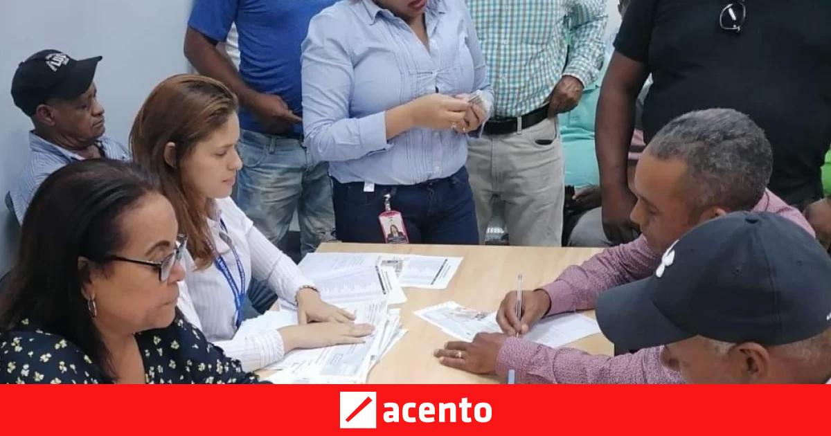 Pagan RD$ 334 millones a productores de habichuelas de San Juan | Acento