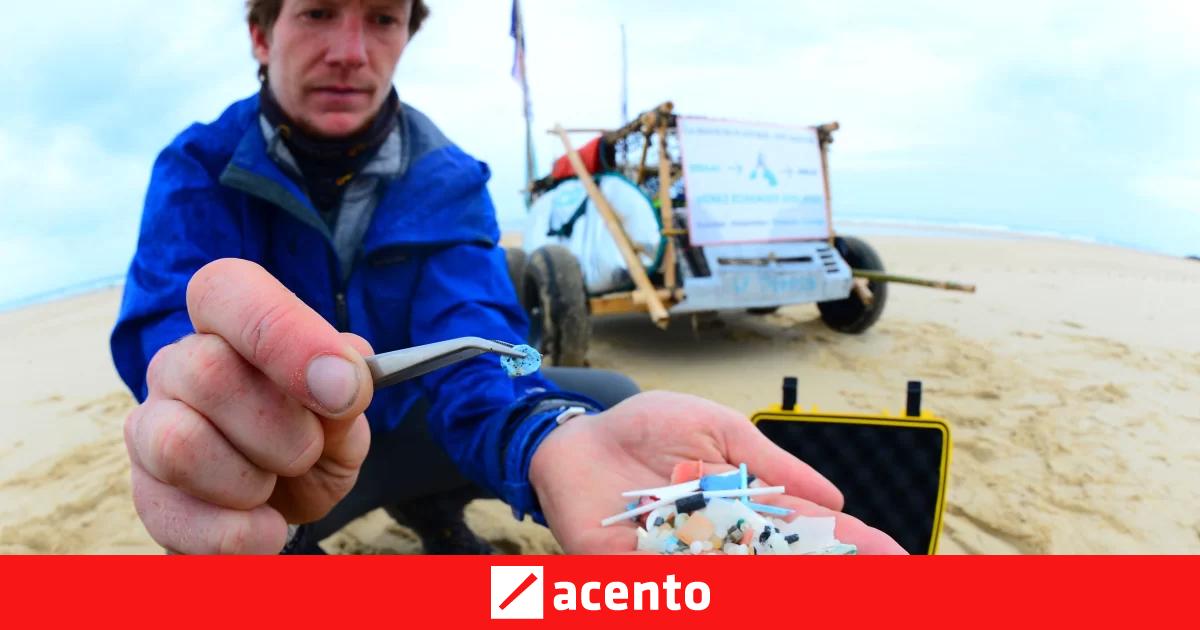 Microplásticos en el aire pueden dañar la salud reproductiva, digestiva ...