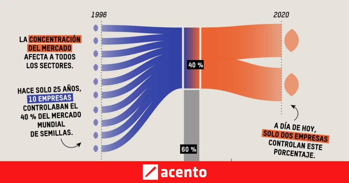 Controlar el poder empresarial: tres pasos prácticos | Acento