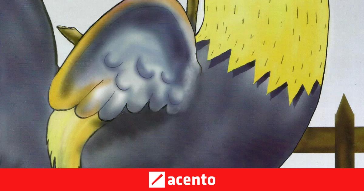 Resiliencia y coraje en el cuento de 'Pollo Cojo' | Acento