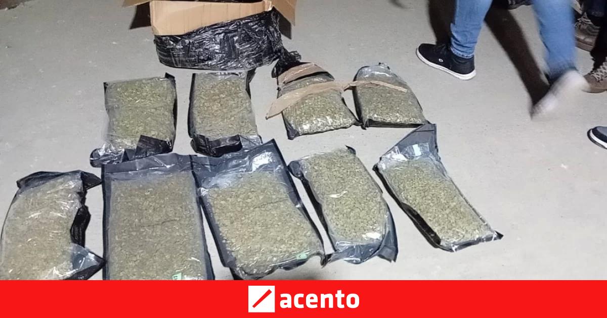 Incautan 12 Paquetes De Marihuana Y 33 Envases Llenos De Cocaína Acento