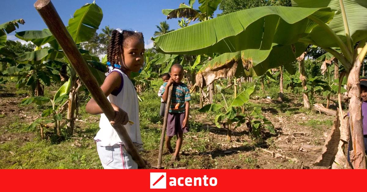 Unicef pide a República Dominicana mayor compromiso para acabar con ...