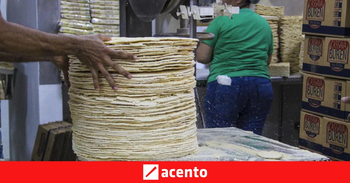 Casabe. El pan de los dioses es un atractivo turístico de Monción | Acento
