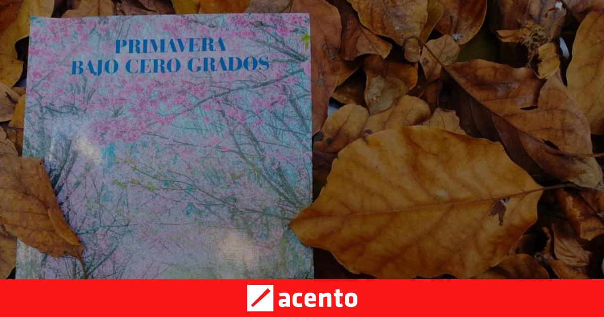 «Primavera bajo cero grados»: una ventana dominicana a la cultura del ...