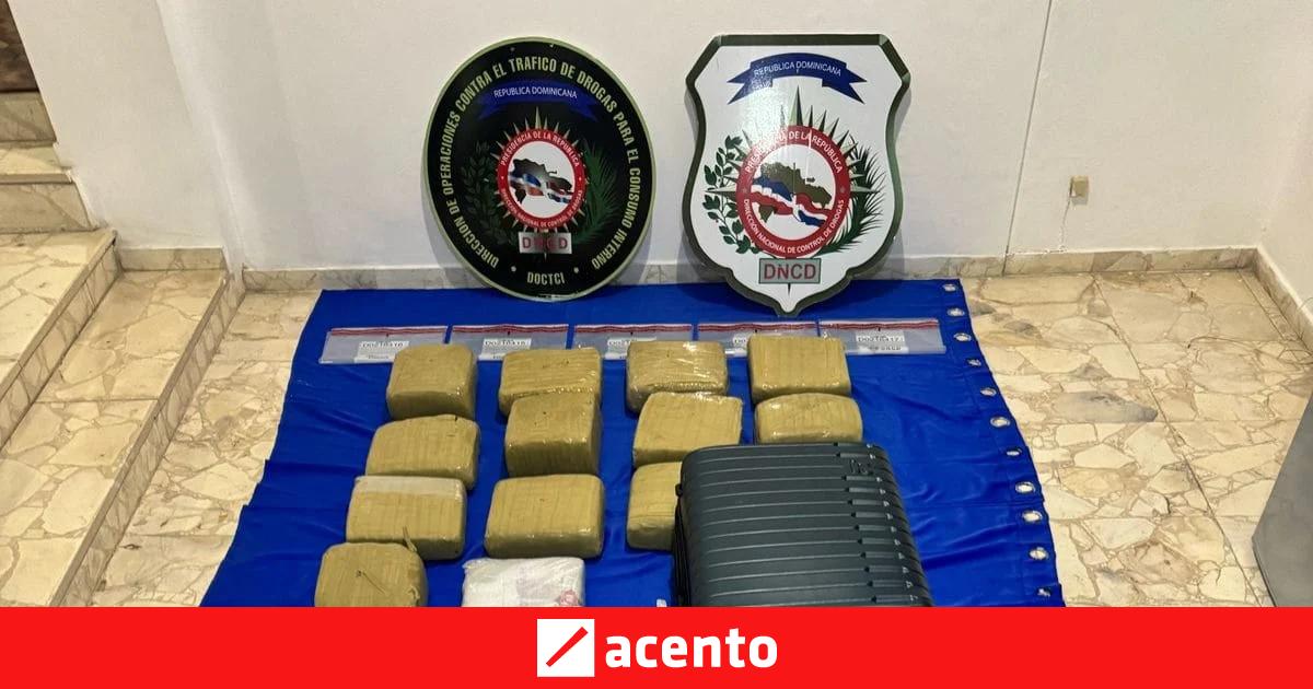 Confiscan 16 Paquetes De Marihuana Y Apresan Ocho Hombres Acento