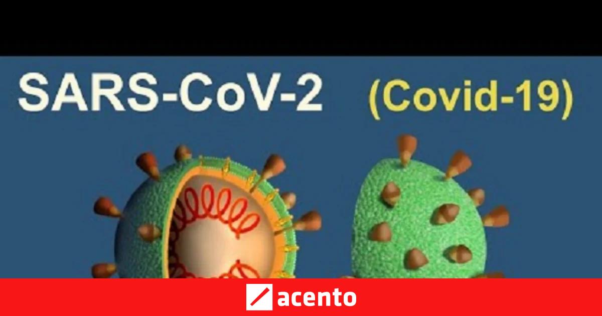 La Casa Blanca culpa a China de supuesta 'fuga del laboratorio' del virus de la covid-19 | Acento