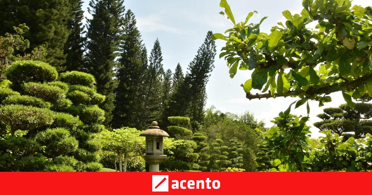 Volver la mirada a “cadena humana” en defensa del Jardín Botánico | Acento