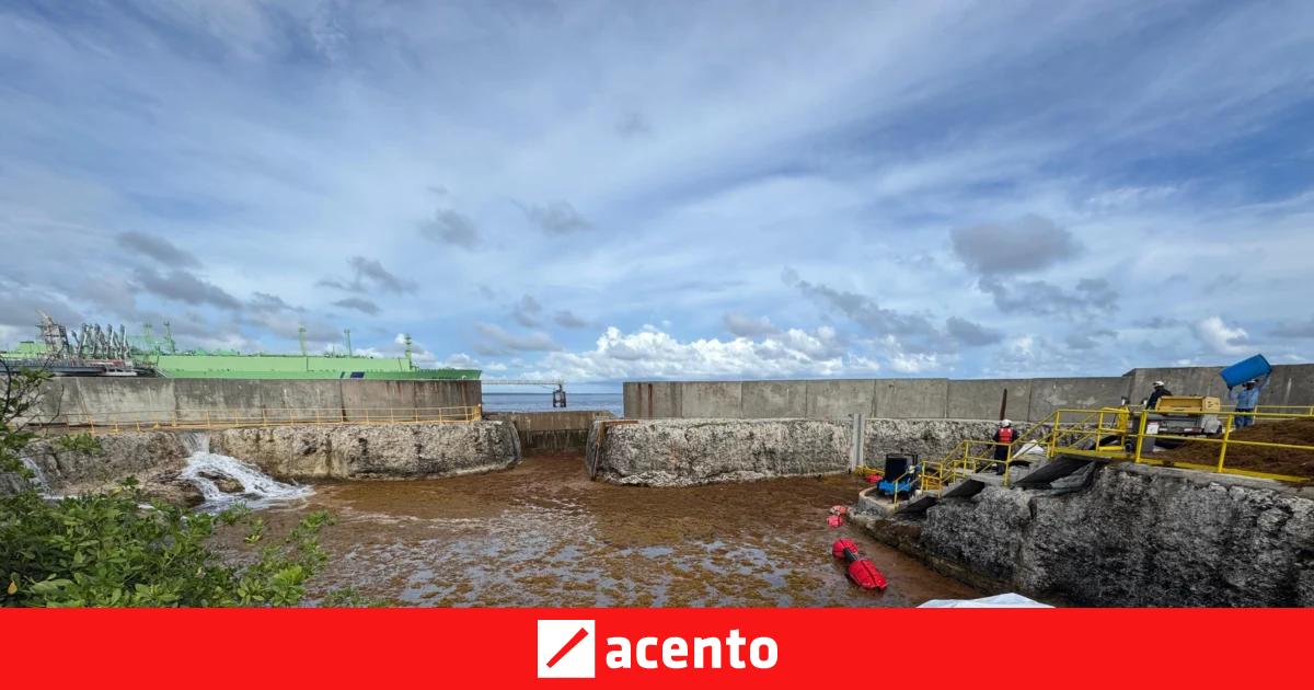 AES Dominicana reporta salida de planta AES Andrés por sargazo | Acento