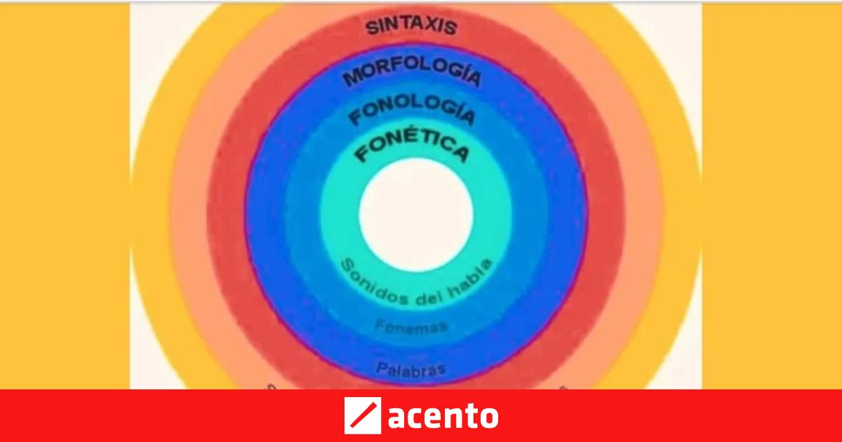 La Lingüística y sus principales subdisciplinas | Acento